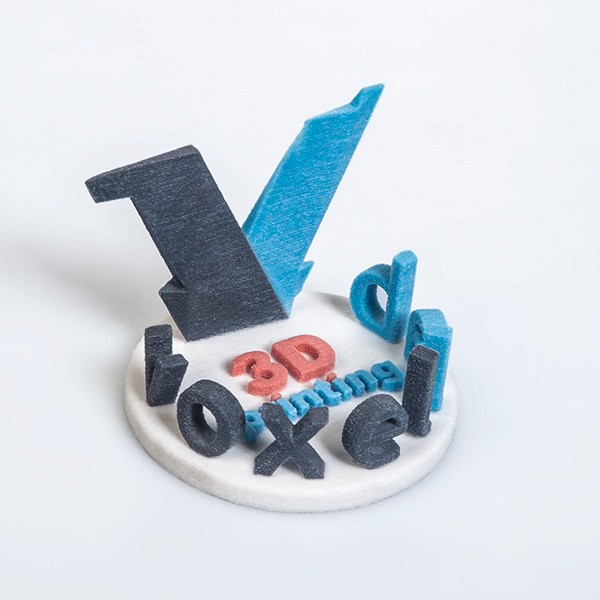 Voxellab 3D printed desktop logo – Voxellab 3D Market